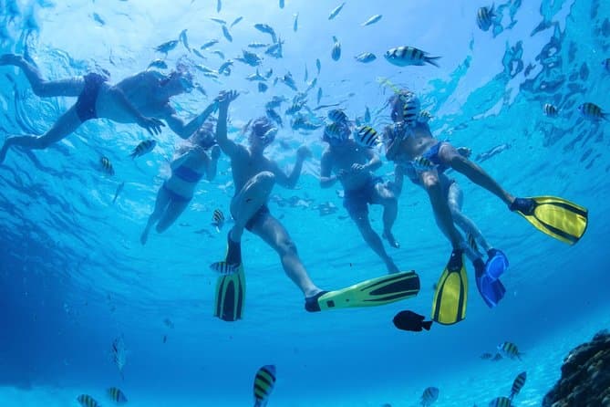 Lanzarote Boat & Catamaran Cruises (2026) — Dolphin Watching & Sunset Tours
